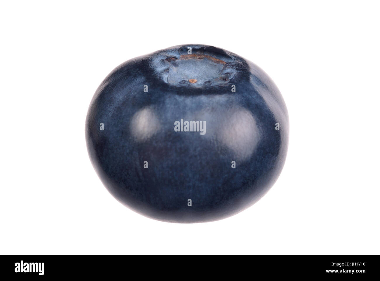 Single blueberry on white background. Studio shoot Stock Photo - Alamy