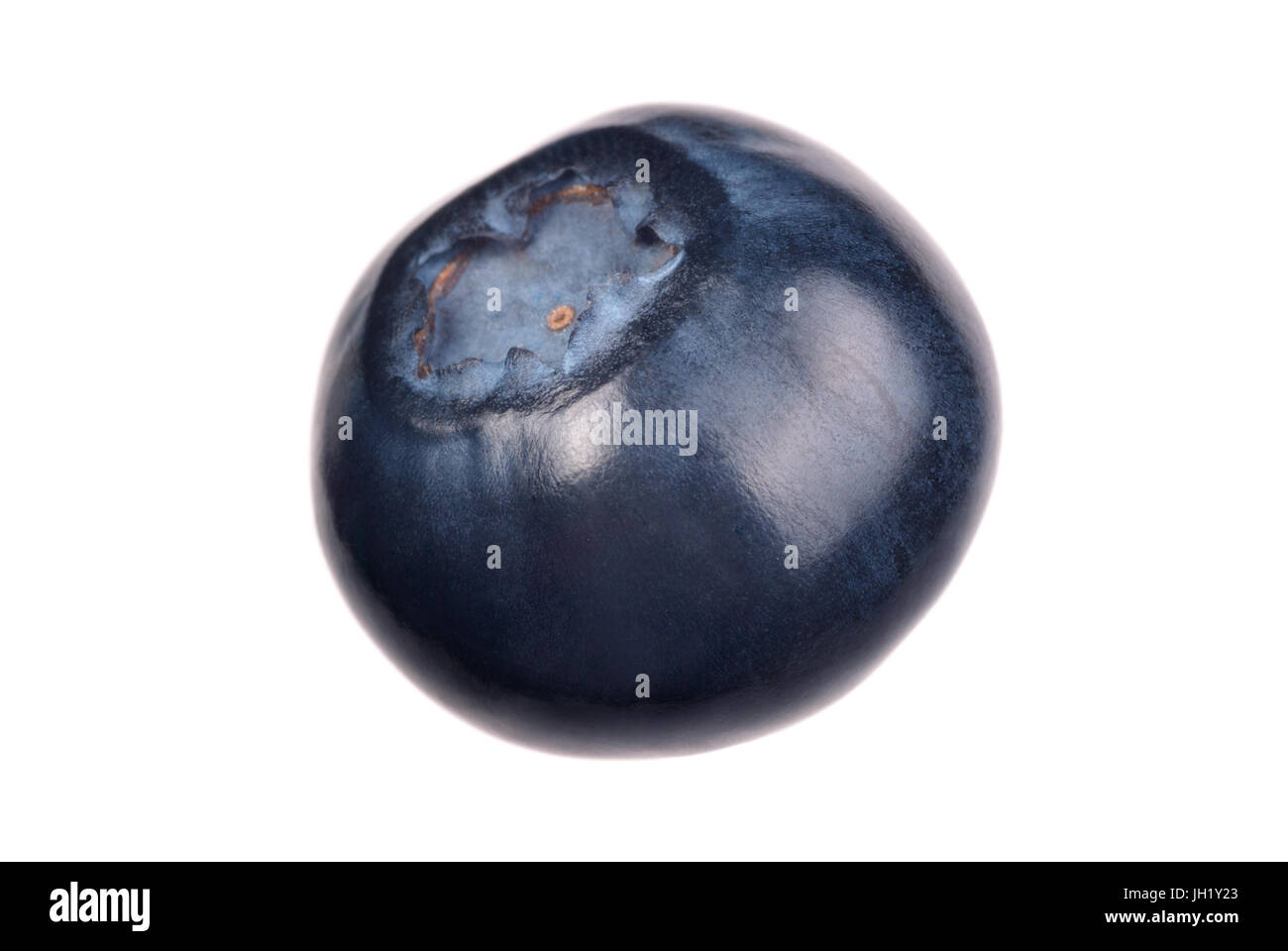 Single blueberry on white background. Studio shoot Stock Photo - Alamy