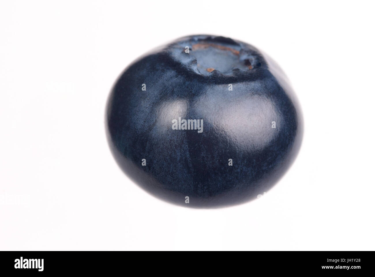 Single blueberry on white background. Studio shoot Stock Photo - Alamy