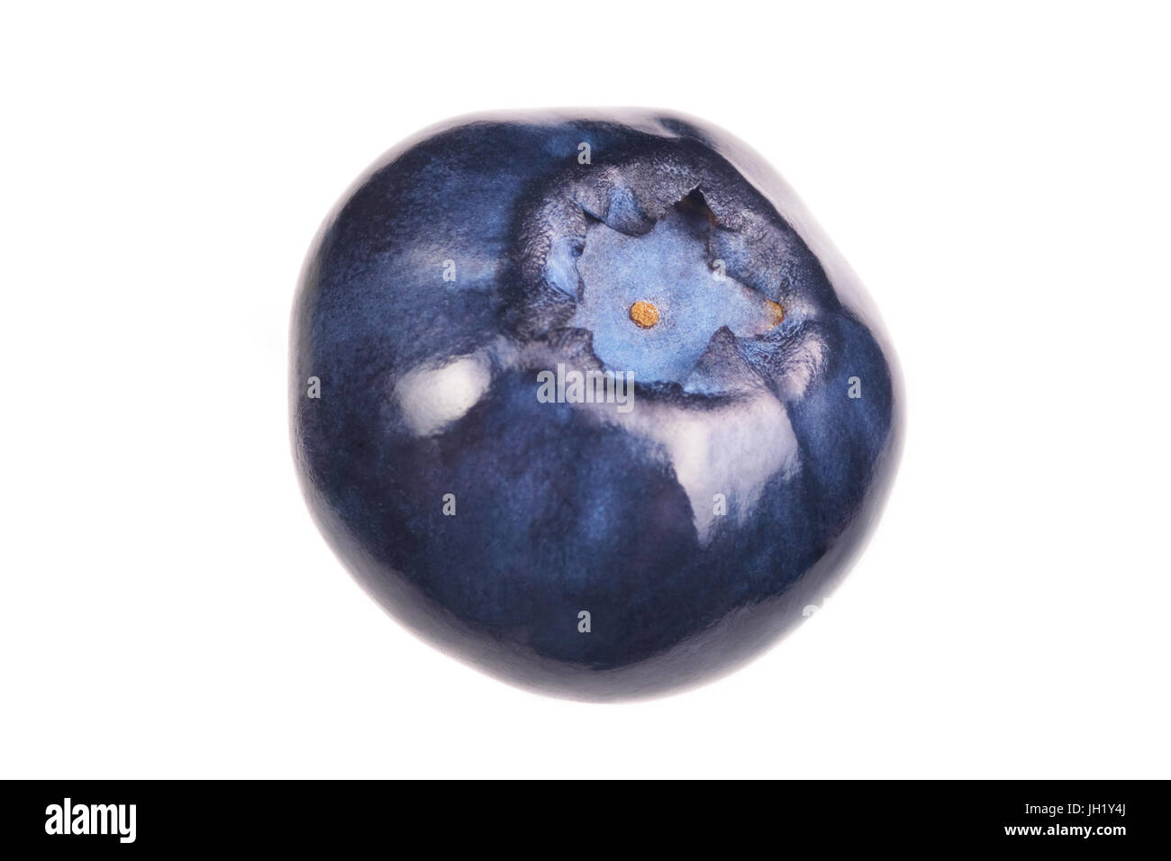 Single blueberry on white background. Studio shoot Stock Photo - Alamy