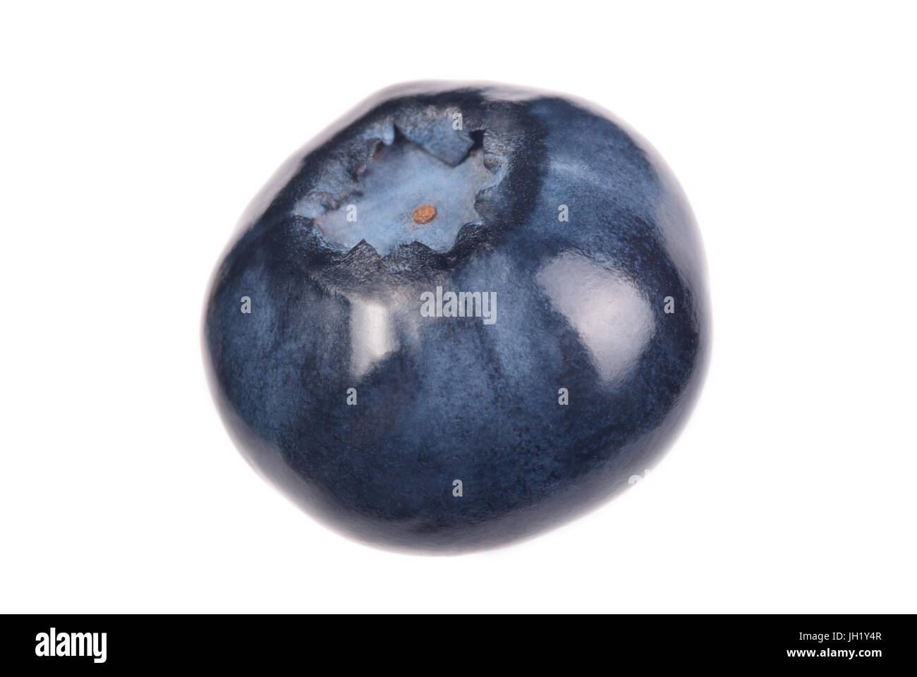 Single blueberry on white background. Studio shoot Stock Photo - Alamy