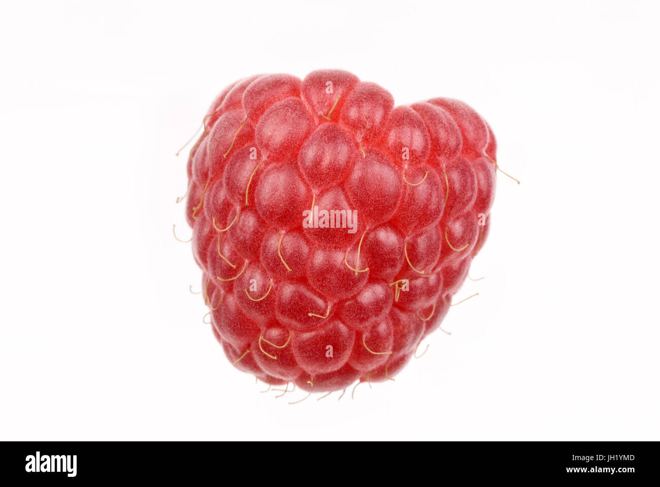 Single red raspberry isolated on white background. Studio shoot Stock ...