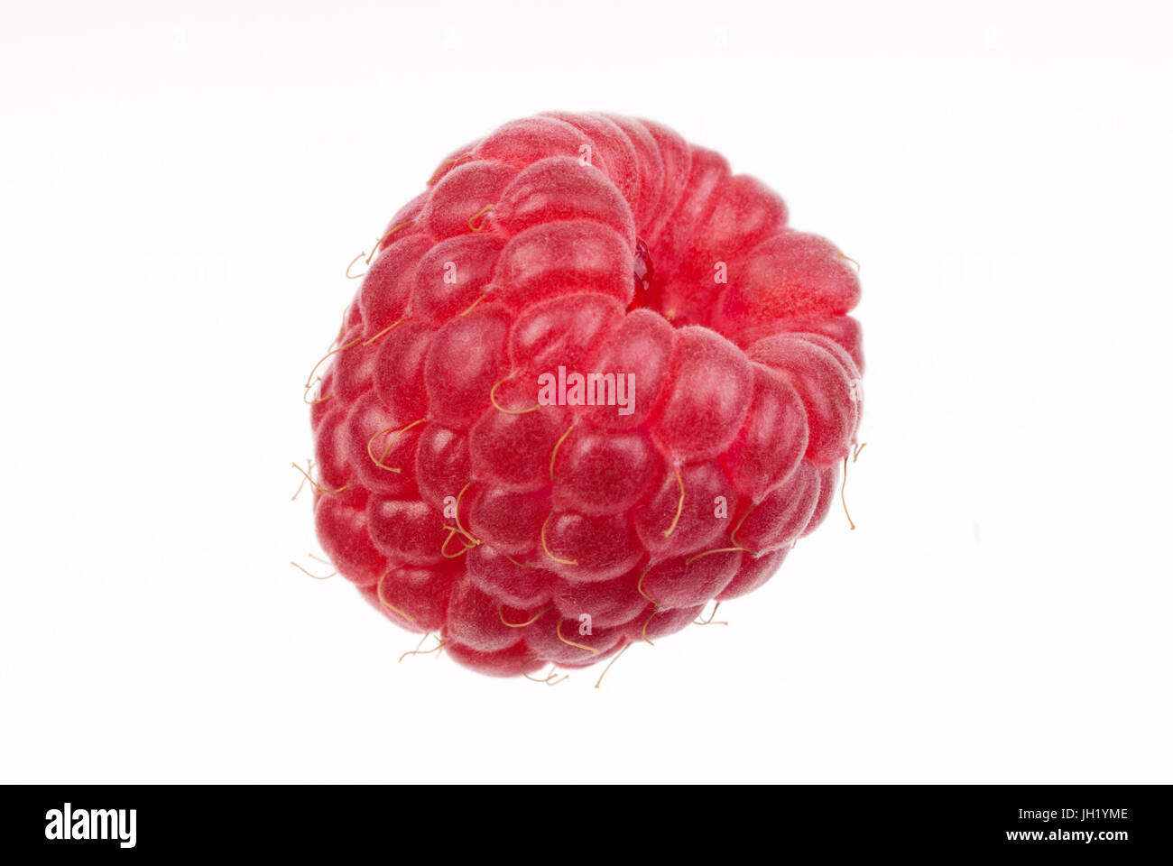 Single red raspberry isolated on white background. Studio shoot Stock ...
