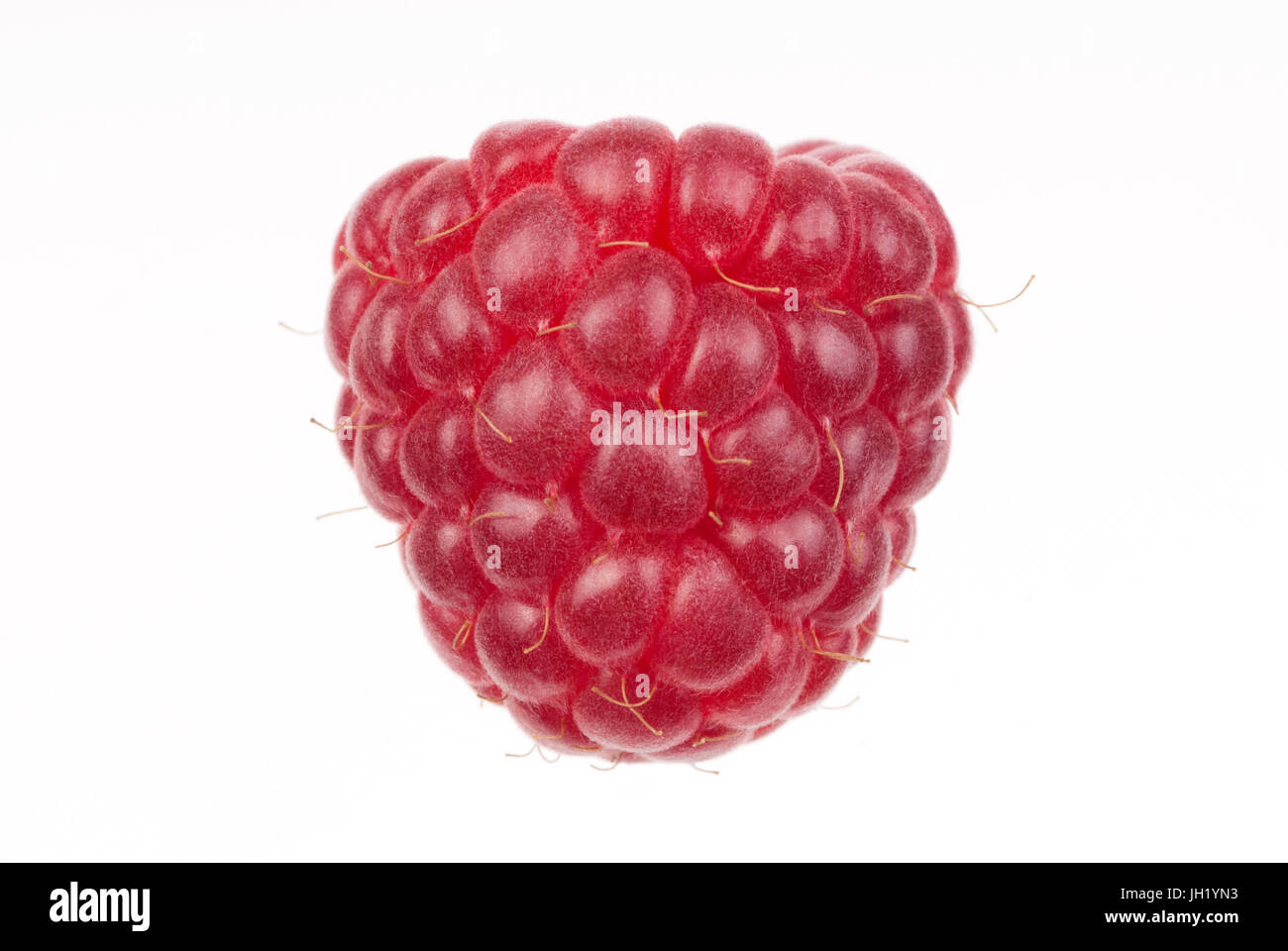 Single red raspberry isolated on white background. Studio shoot Stock ...