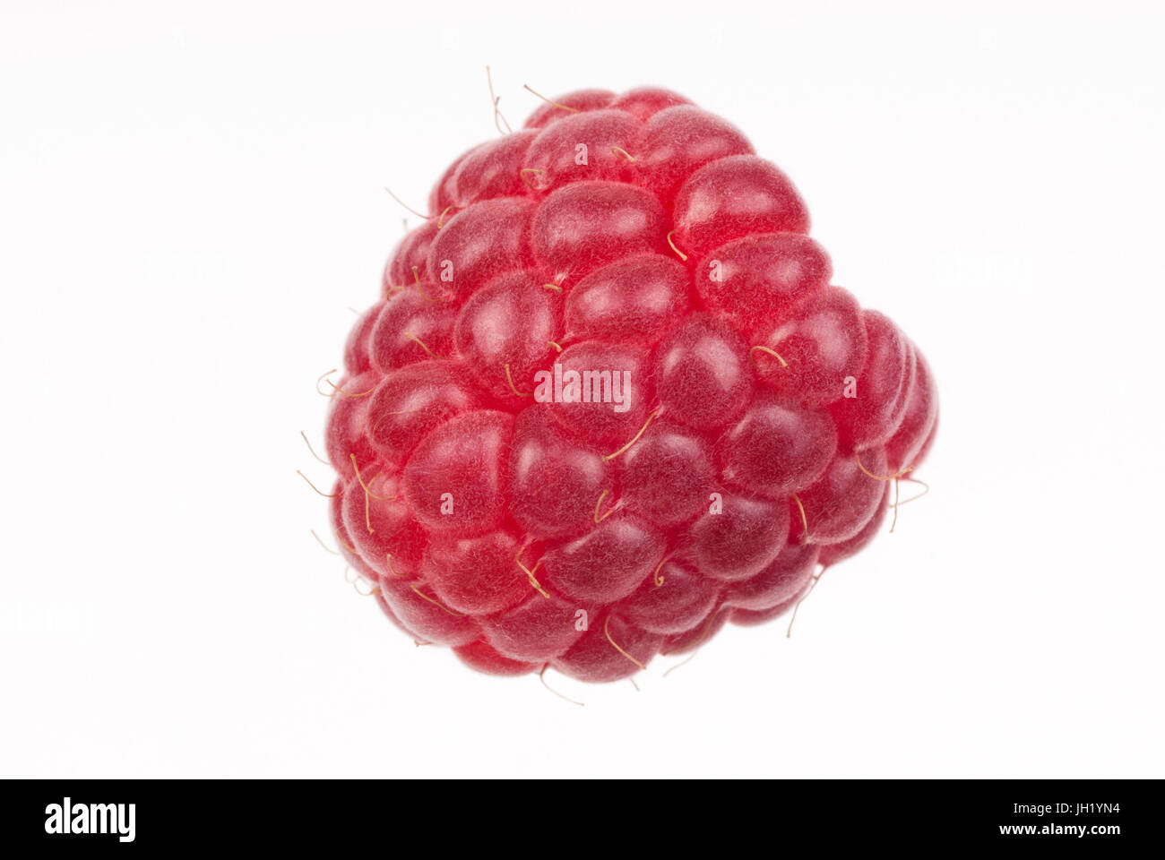 Single red raspberry isolated on white background. Studio shoot Stock ...