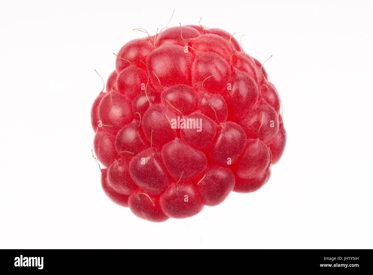 Single red raspberry isolated on white background. Studio shoot Stock ...
