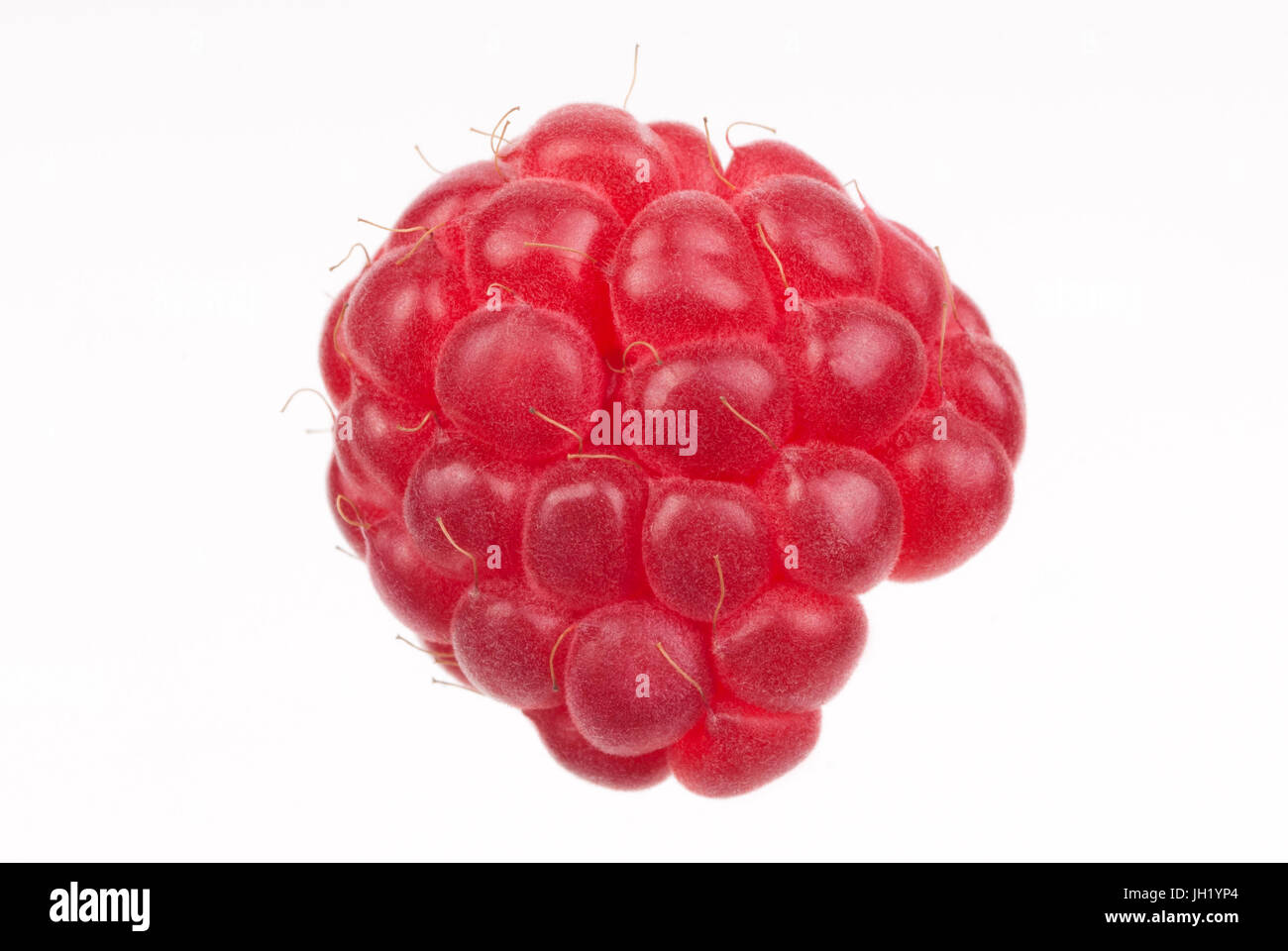 Single red raspberry isolated on white background. Studio shoot Stock ...