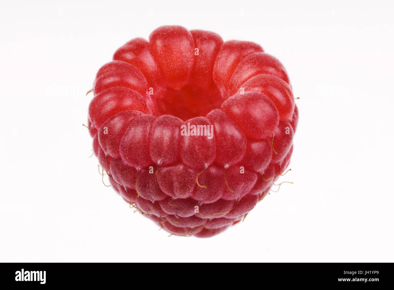 Single red raspberry isolated on white background. Studio shoot Stock ...