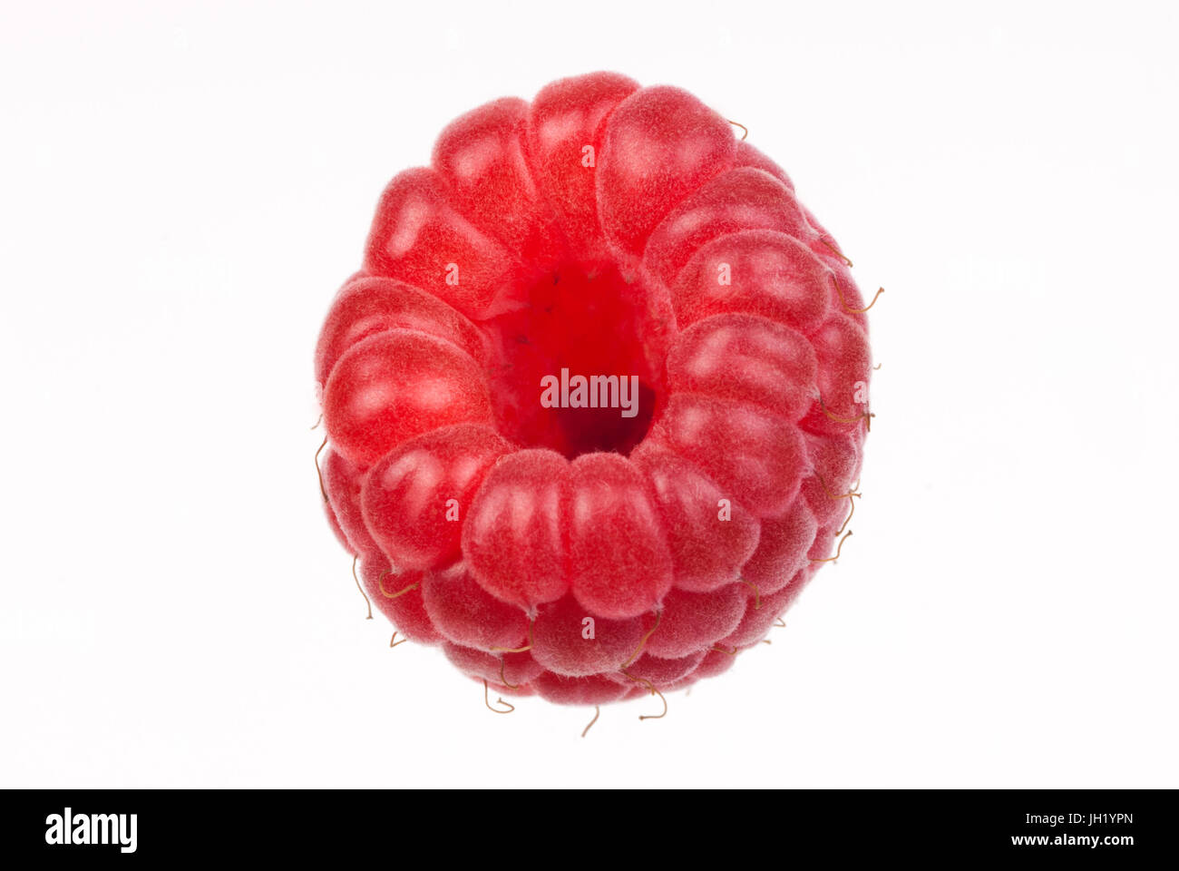 Single red raspberry isolated on white background. Studio shoot Stock ...