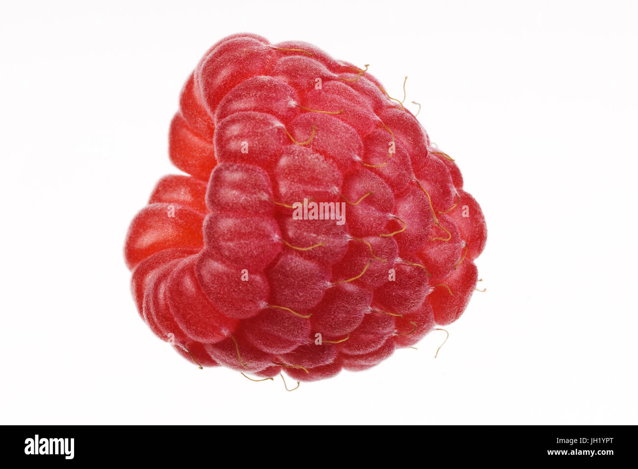 Single red raspberry isolated on white background. Studio shoot Stock ...