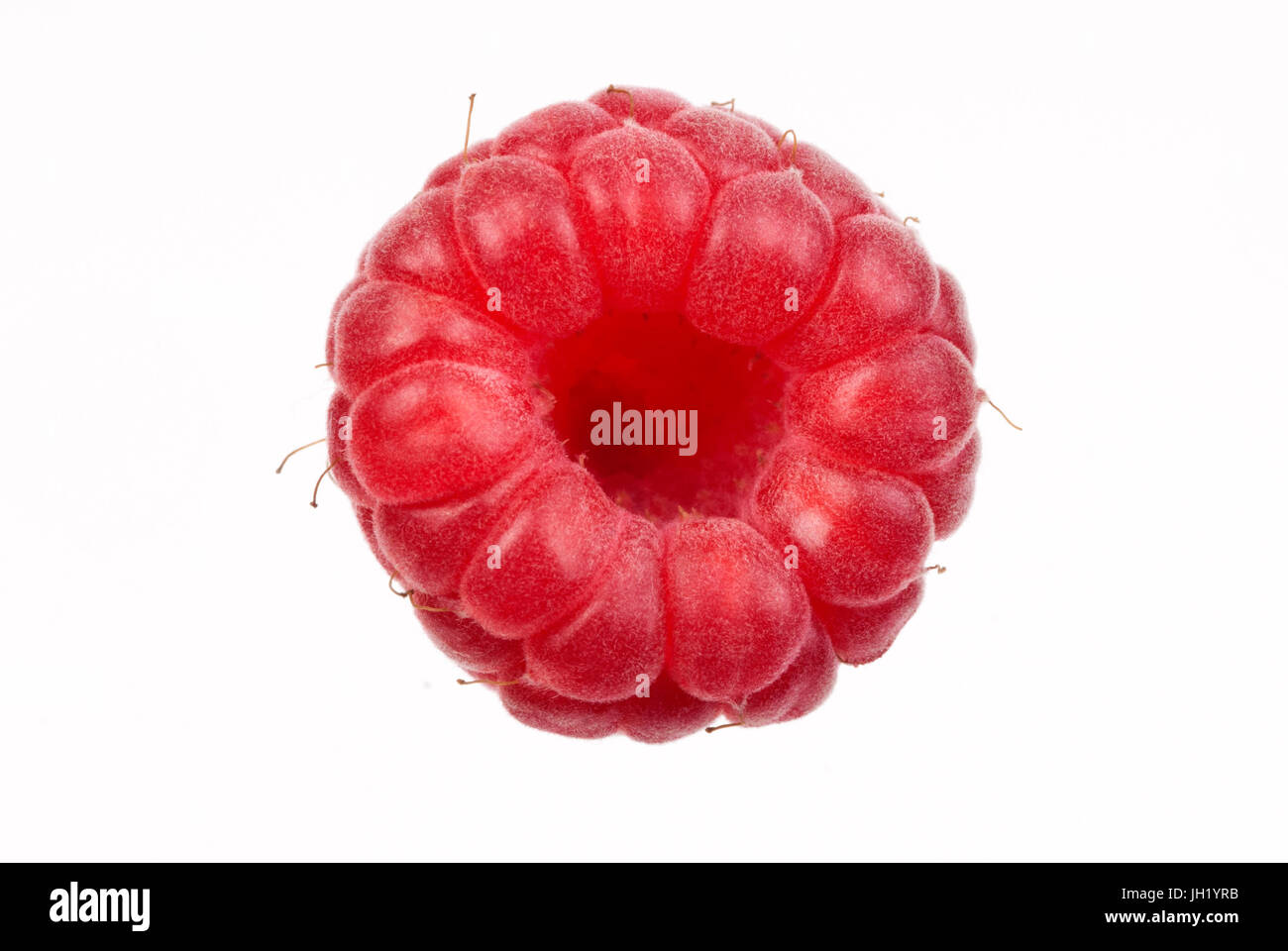 Single red raspberry isolated on white background. Studio shoot Stock ...