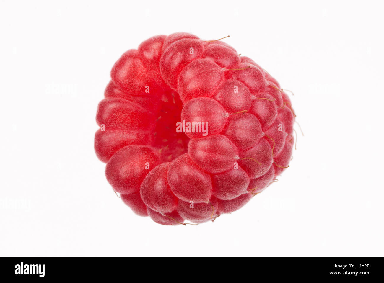 Single red raspberry isolated on white background. Studio shoot Stock ...
