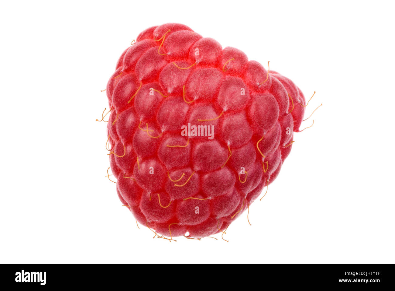Single red raspberry isolated on white background. Studio shoot Stock ...