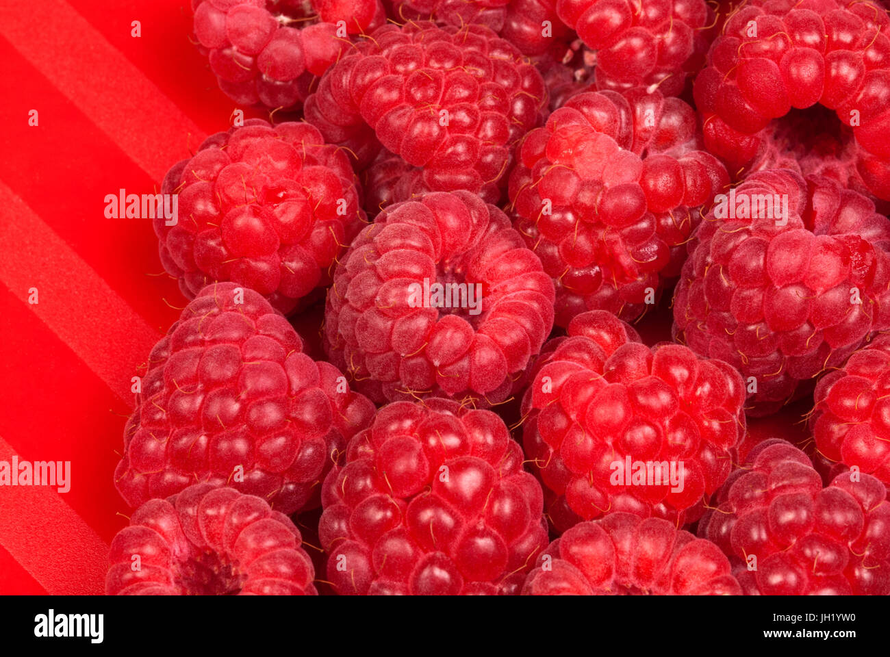 Group of raspberries on red background. Studio shoot Stock Photo - Alamy