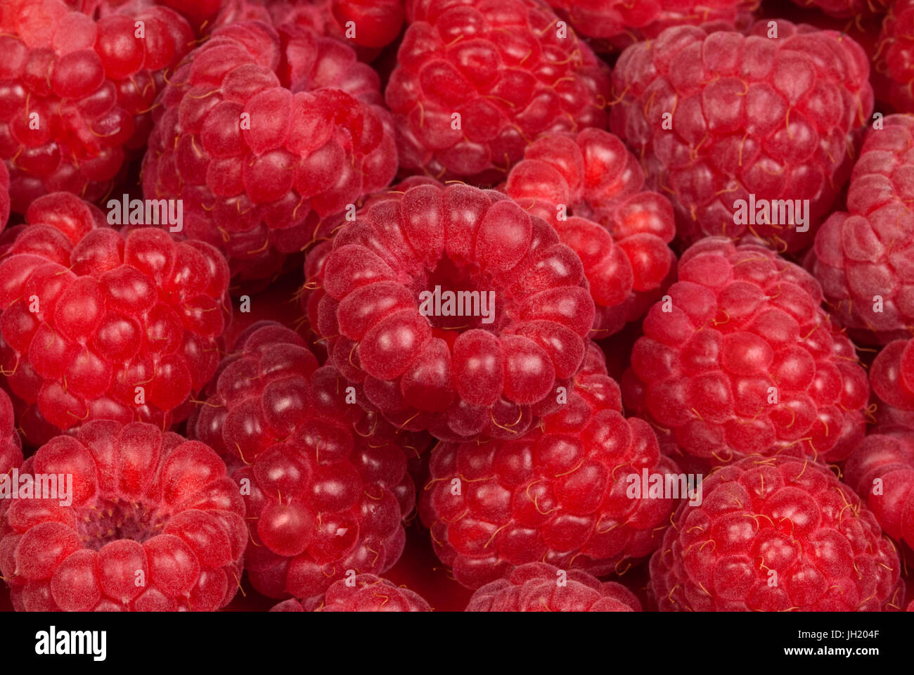 Group of raspberries on red background. Studio shoot Stock Photo - Alamy
