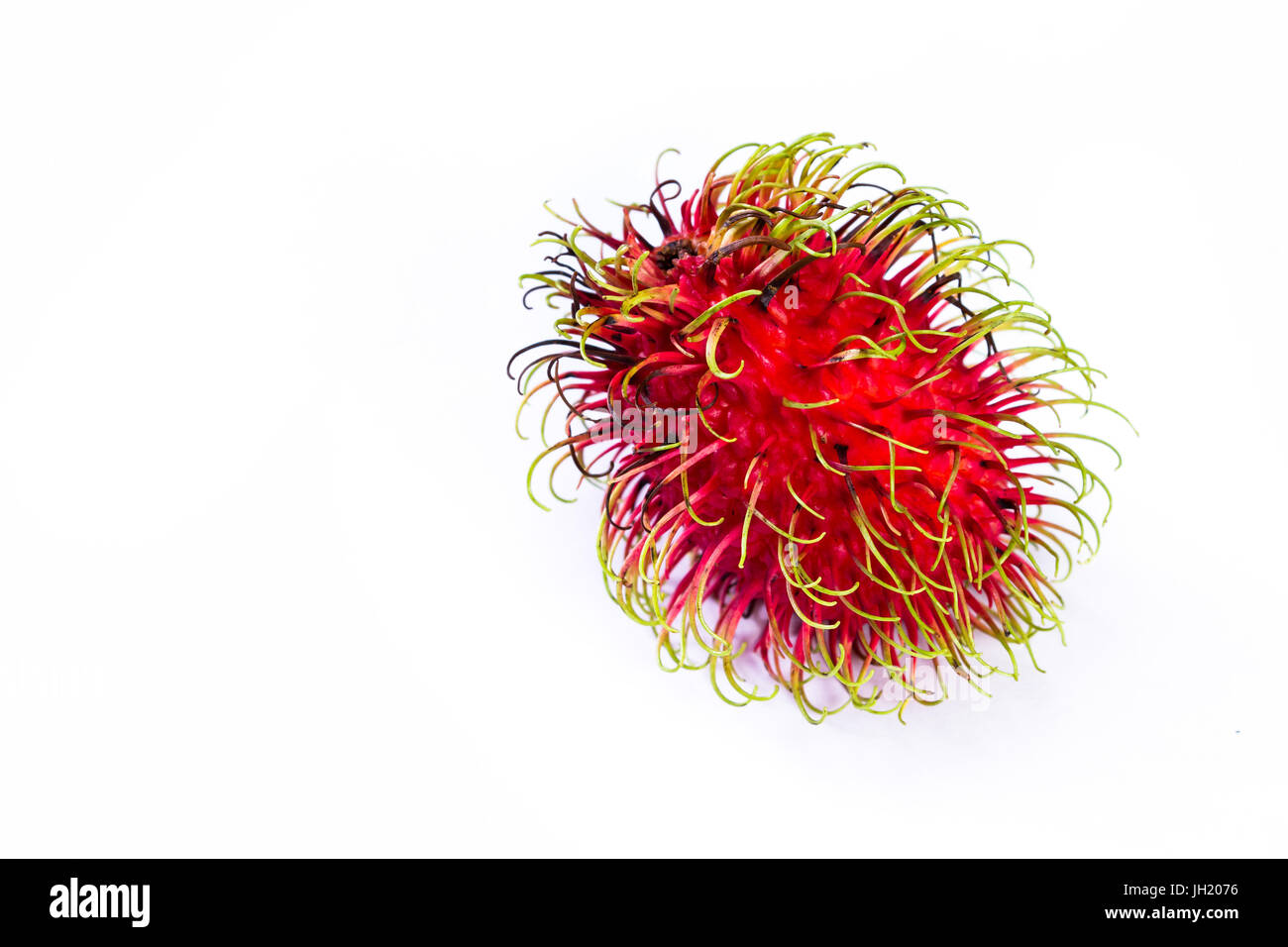 close up of a rambutan isolated on a white background Stock Photo - Alamy
