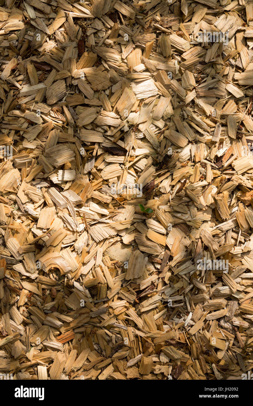 Wood Chips Texture High Resolution Stock Photography and Images - Alamy