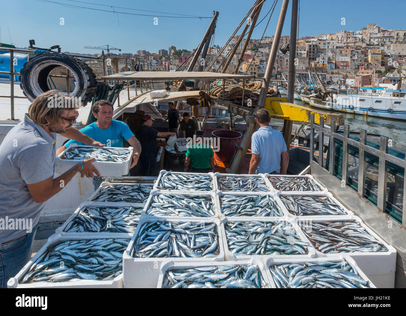Sardines being unloaded from a fishing boat in the fishing port of ...