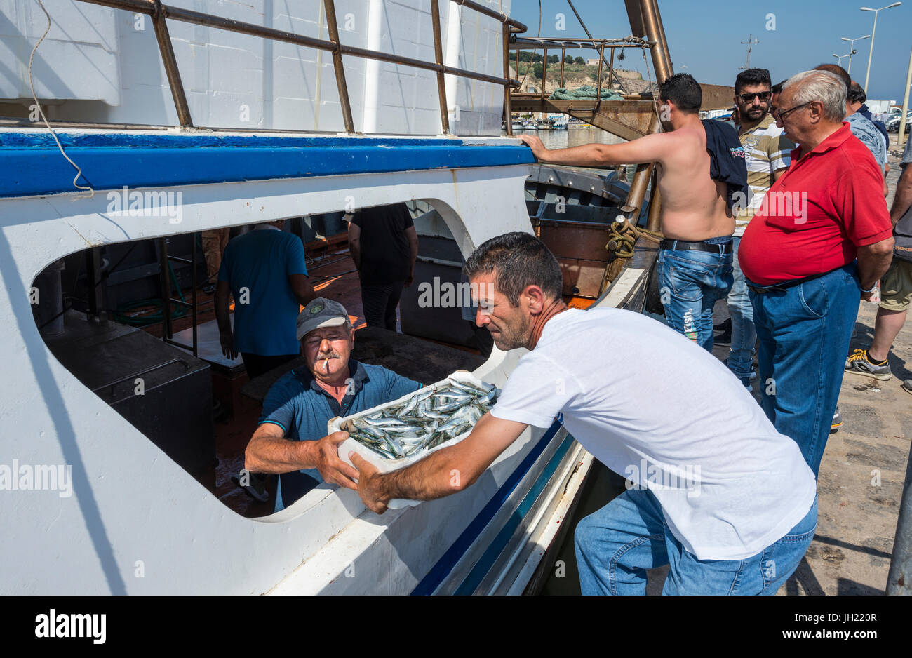 Sardines being unloaded from a fishing boat in the fishing port of ...