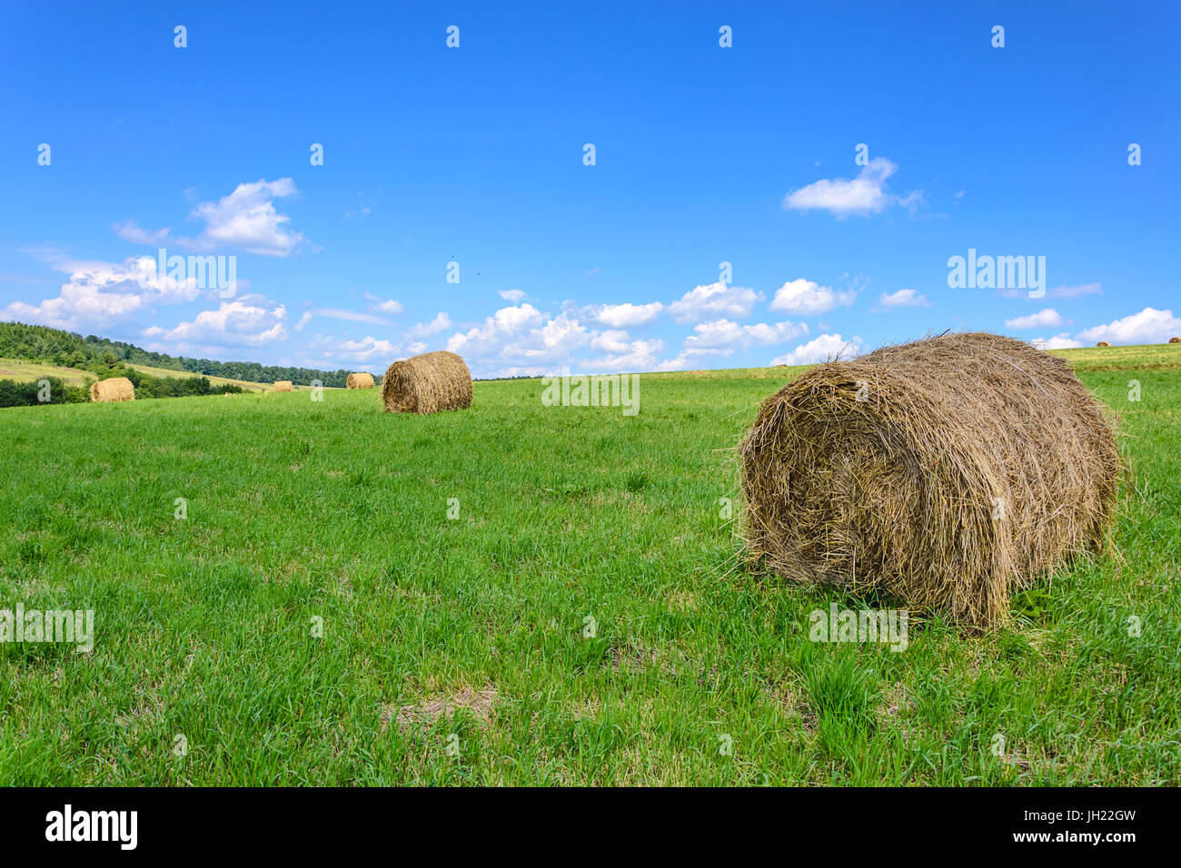 Idyllic farm field with hay bales on the blue sky background Stock ...