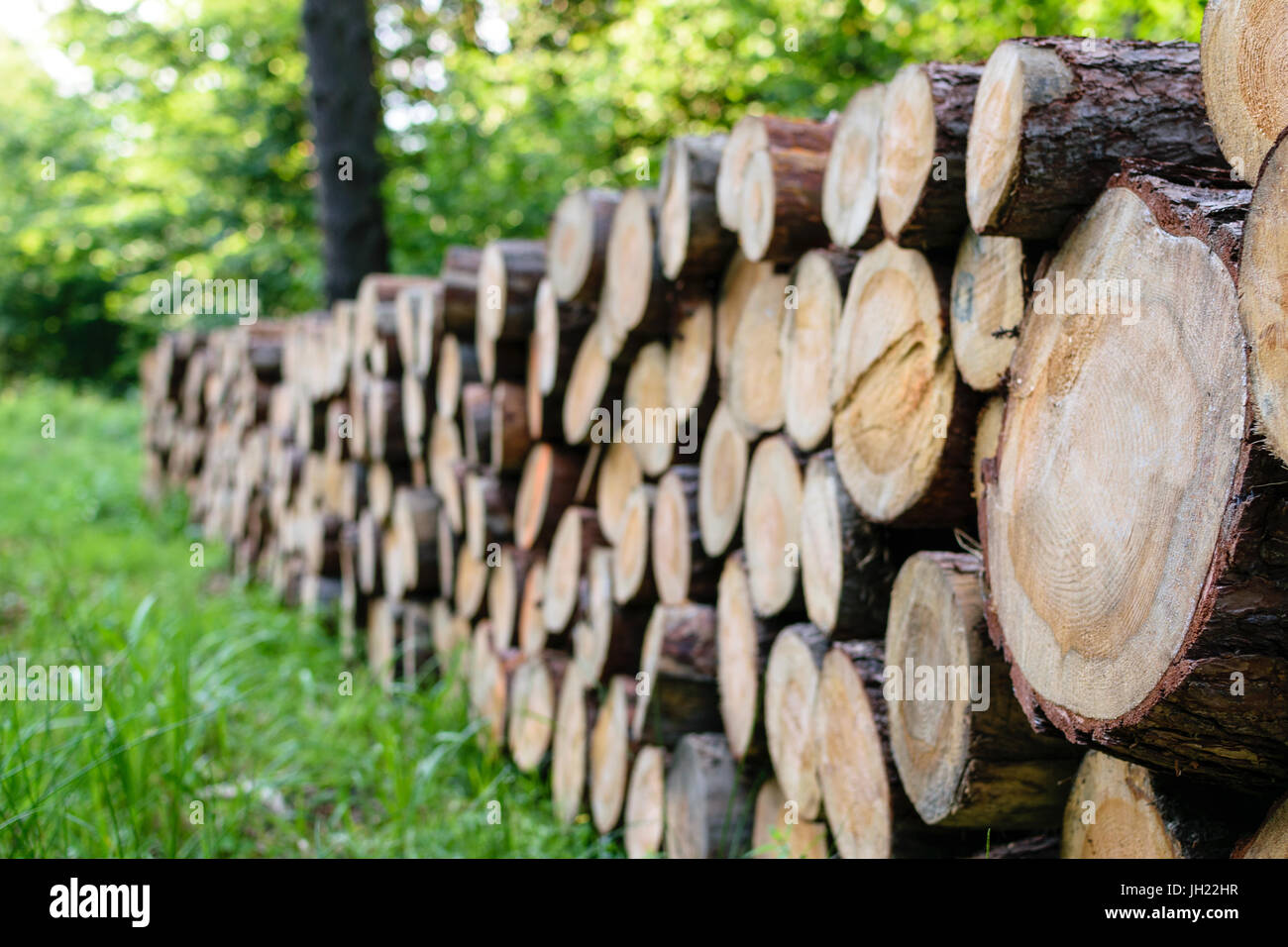 A big wood pile for firewood hi-res stock photography and images - Alamy