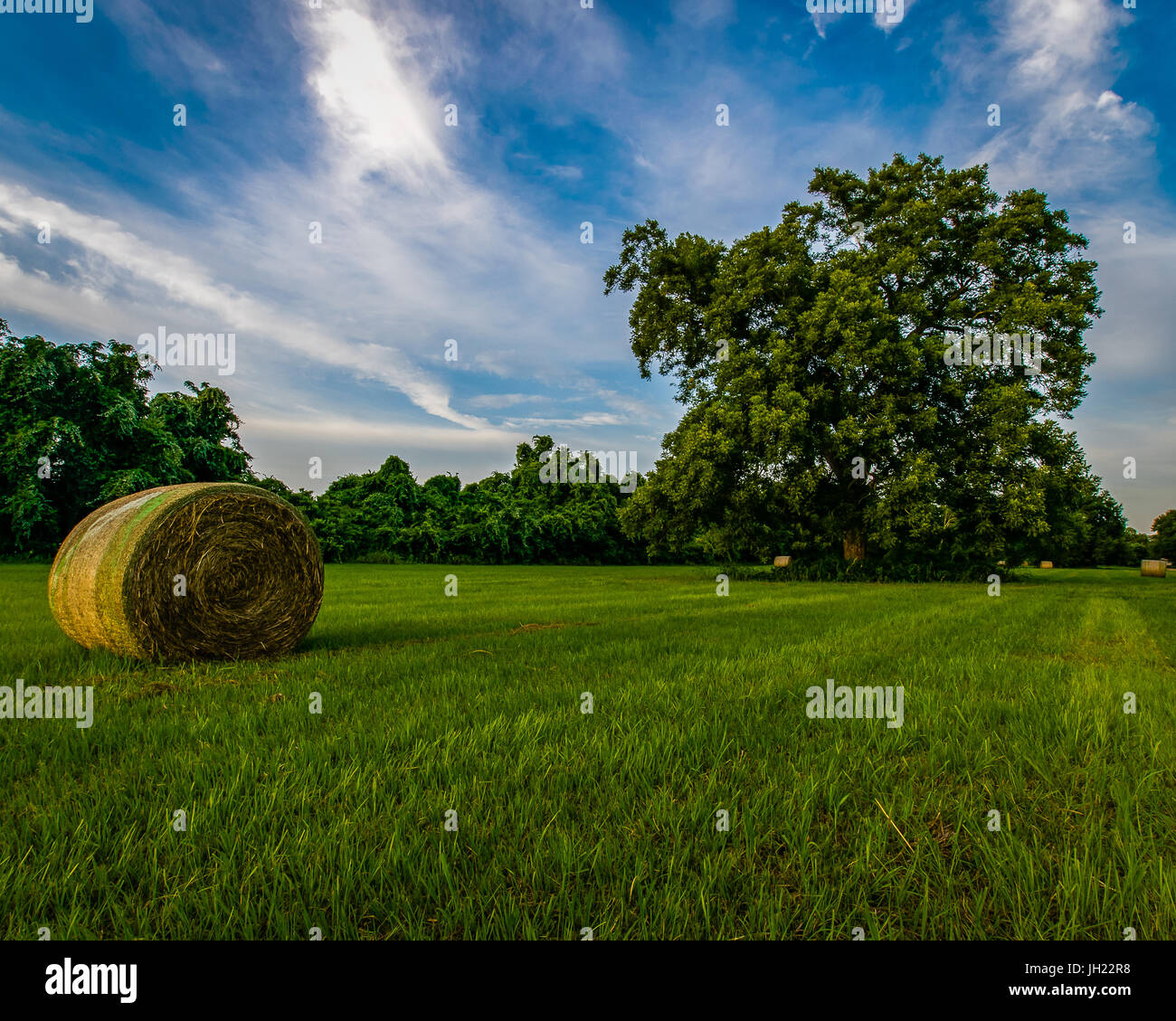 Bailed hay hi-res stock photography and images - Alamy