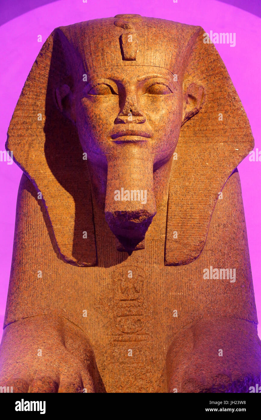 Louvre museum. Great sphinx. Granite. France. France Stock Photo - Alamy