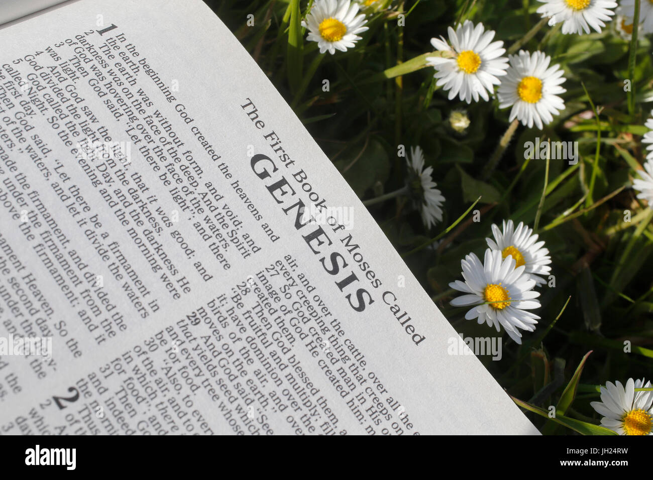 Open Bible. genesis Stock Photo - Alamy