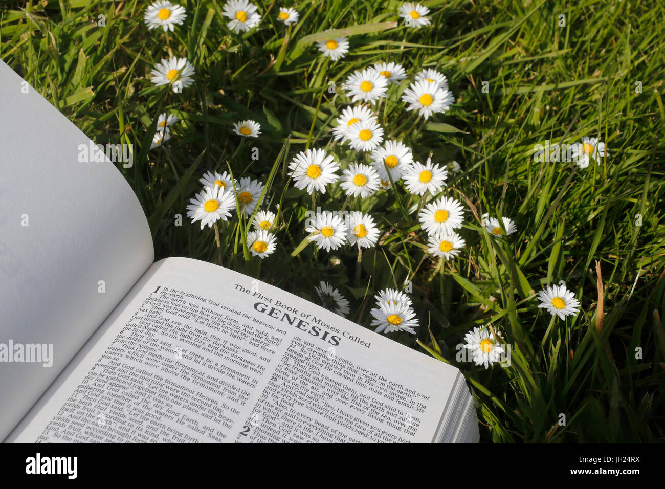 Open Bible. genesis Stock Photo - Alamy