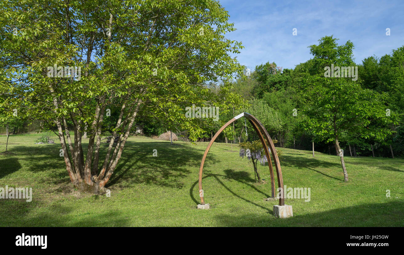 Grass yard lawn shrubs hi-res stock photography and images - Alamy
