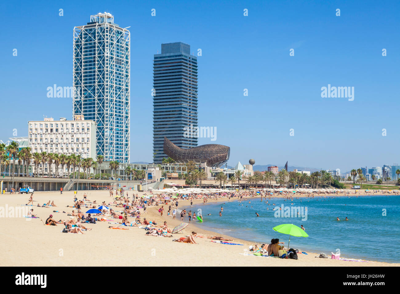 People sunbathing on Barcelona beach, Barceloneta, Barcelona, Catalonia ...