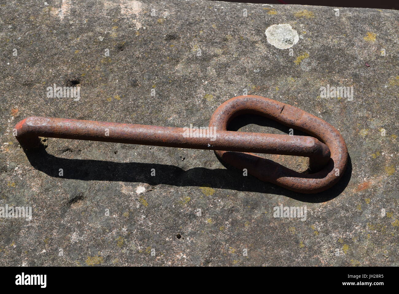 Animal Tether High Resolution Stock Photography and Images - Alamy