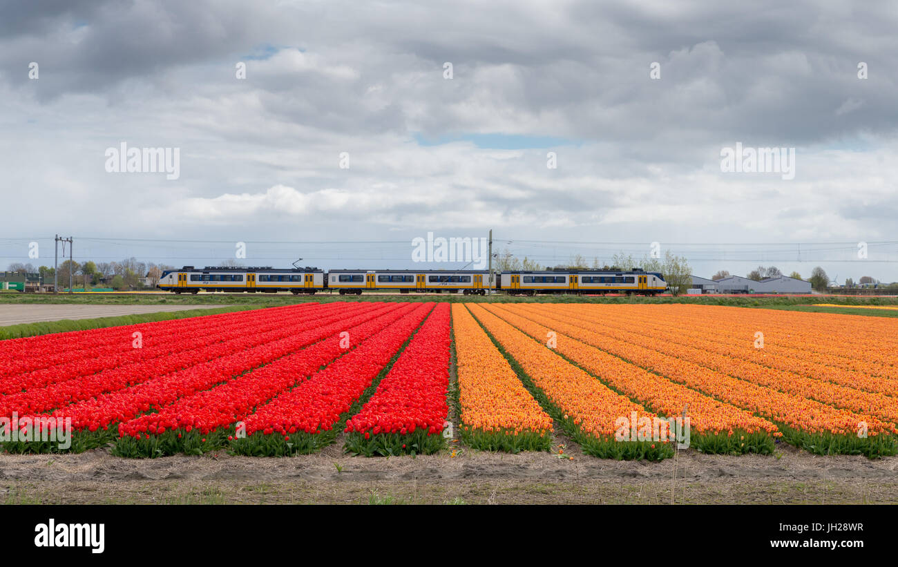 Train europe field hi-res stock photography and images - Alamy