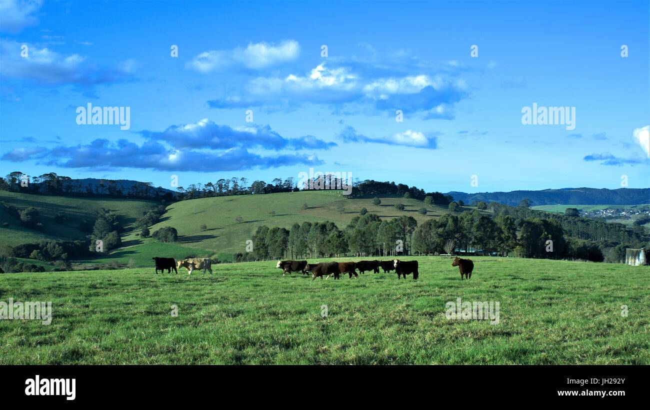 Australian rural landscape hi-res stock photography and images - Alamy