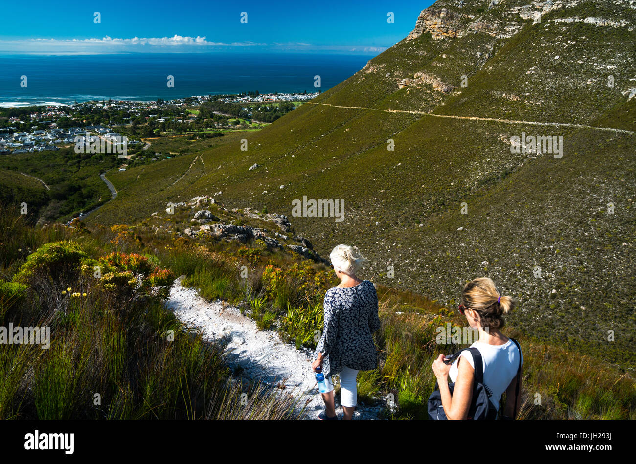 Two women hikers walking down into hermanus mountain hi-res stock ...
