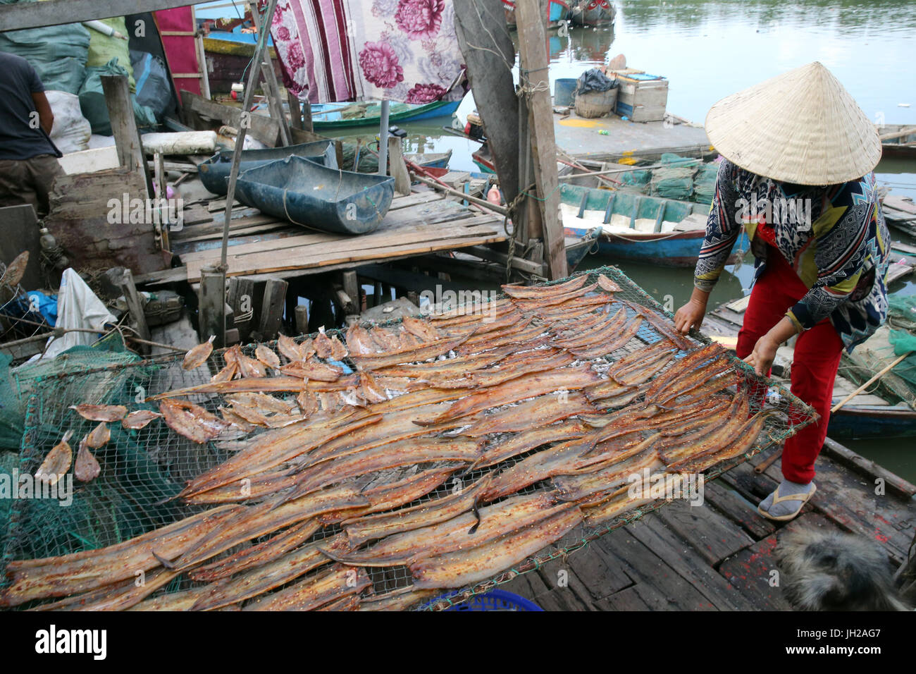 Vung Tau fish market. Dried fish. Vietnam Stock Photo - Alamy