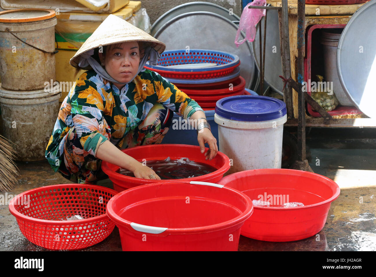 Vung Tau fish market. Woman sort through fresh catch of fish. Vietnam ...