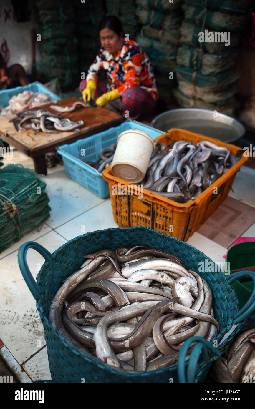 Vung Tau fish market. Woman sort through fresh catch of fish. Vietnam ...