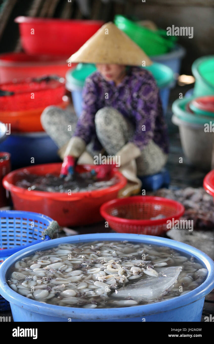 Vung Tau fish market. Woman sort through fresh catch of fish. Vietnam ...