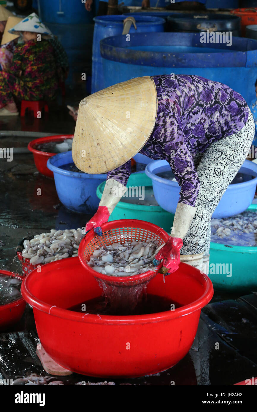 Vung Tau fish market. Woman sort through fresh catch of fish. Vietnam ...