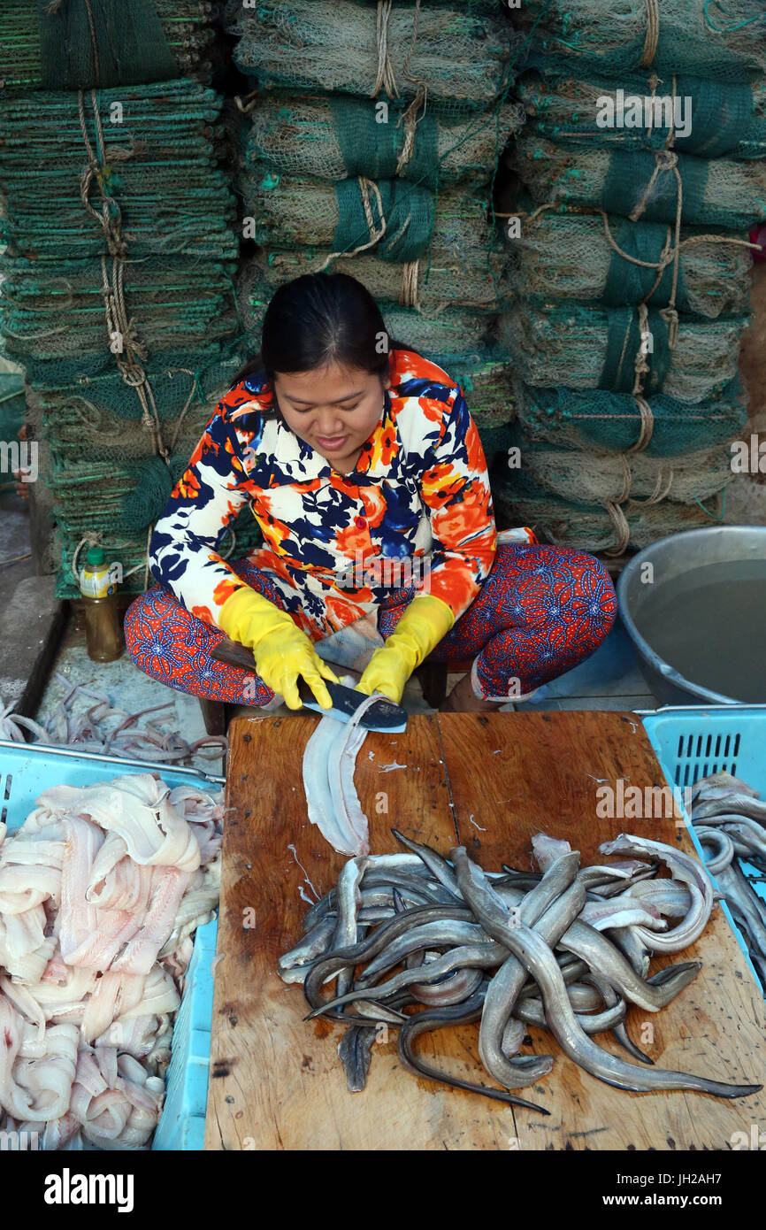 Vung Tau fish market. Woman sort through fresh catch of fish. Vietnam ...