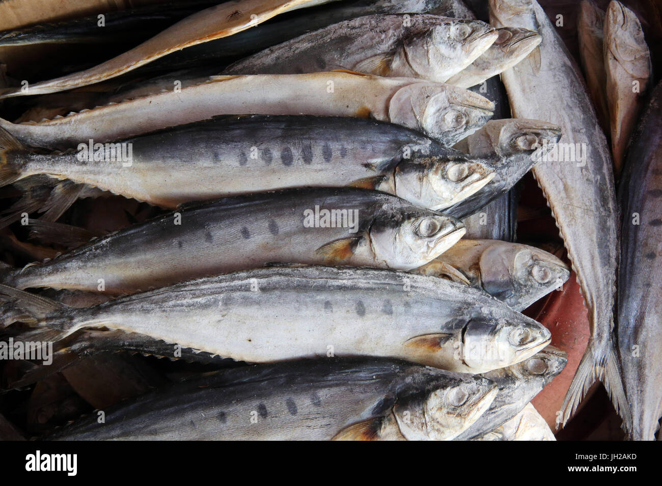 Vung Tau fish market. Dried fish for sale. Vietnam Stock Photo - Alamy