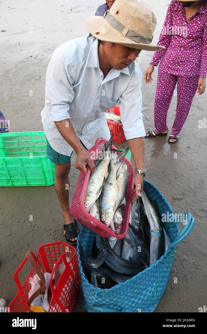 Vung Tau beach. Fish market. Vietnam Stock Photo - Alamy
