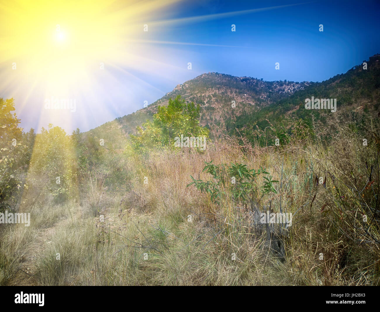 Dry, hilly Deccan plateau (India). Bush on slopes late winter, table ...