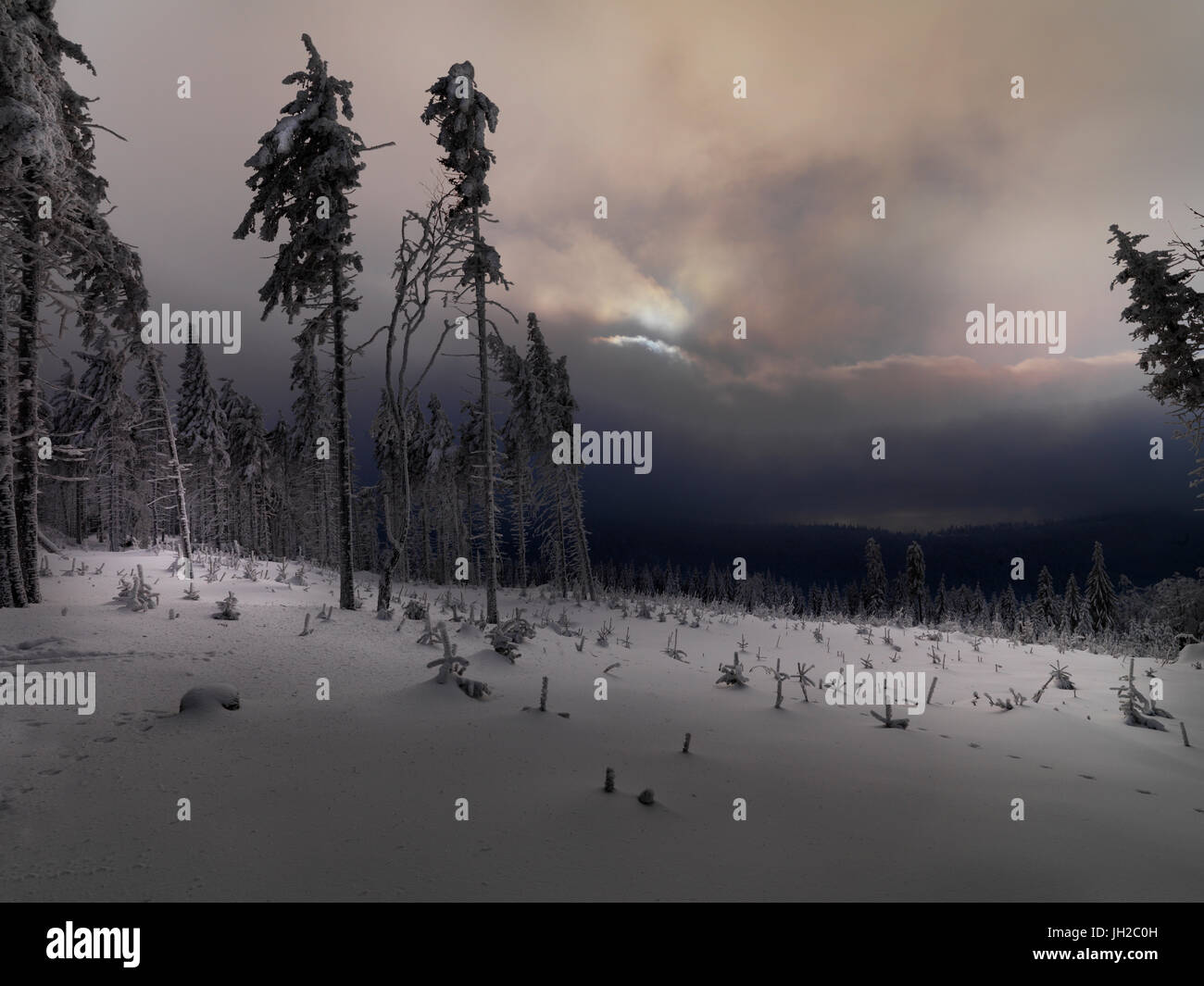 Winter blizzard in mountains hi-res stock photography and images - Alamy