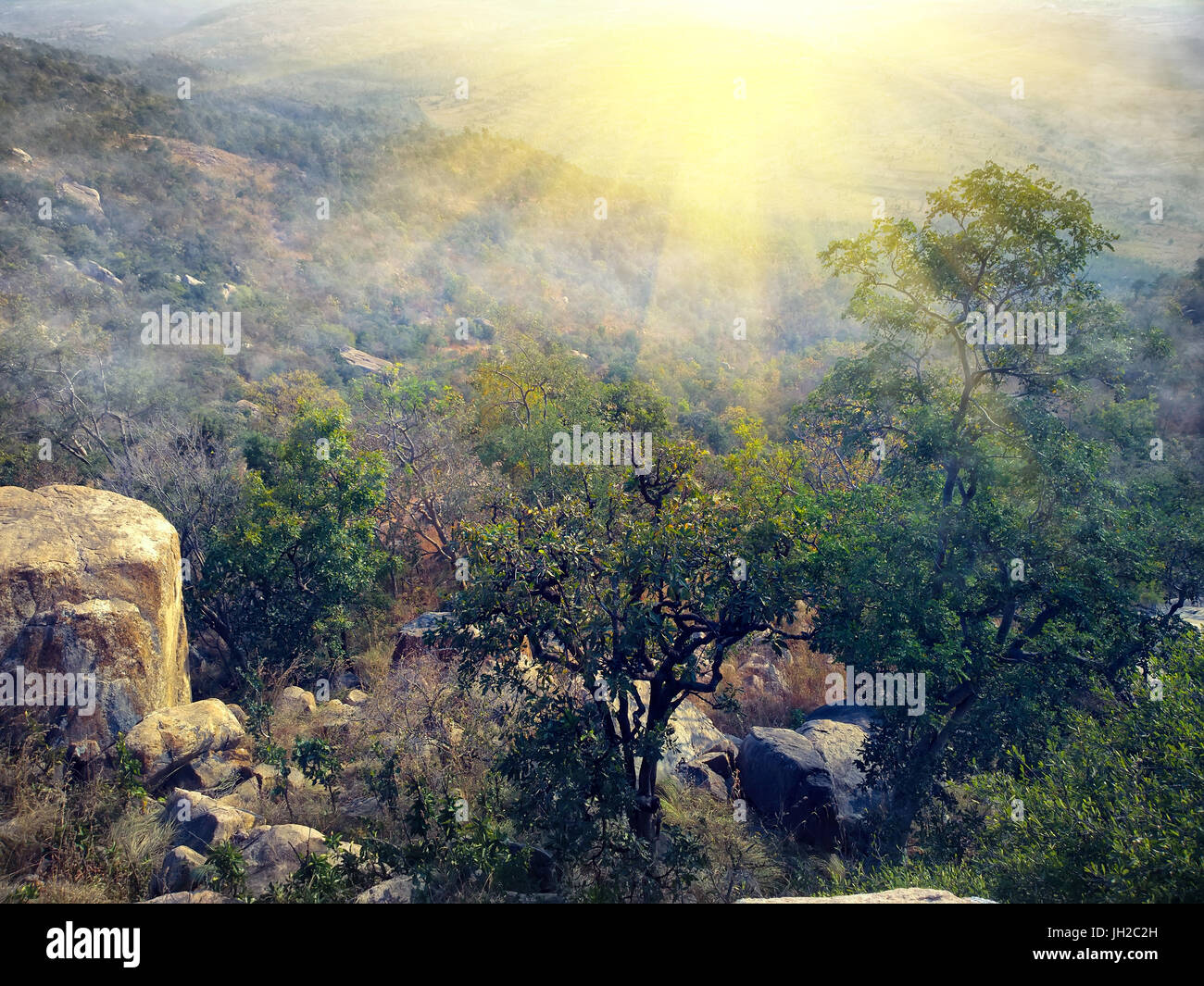 Dry, hilly Deccan plateau (India). Bush on slopes late winter, table ...