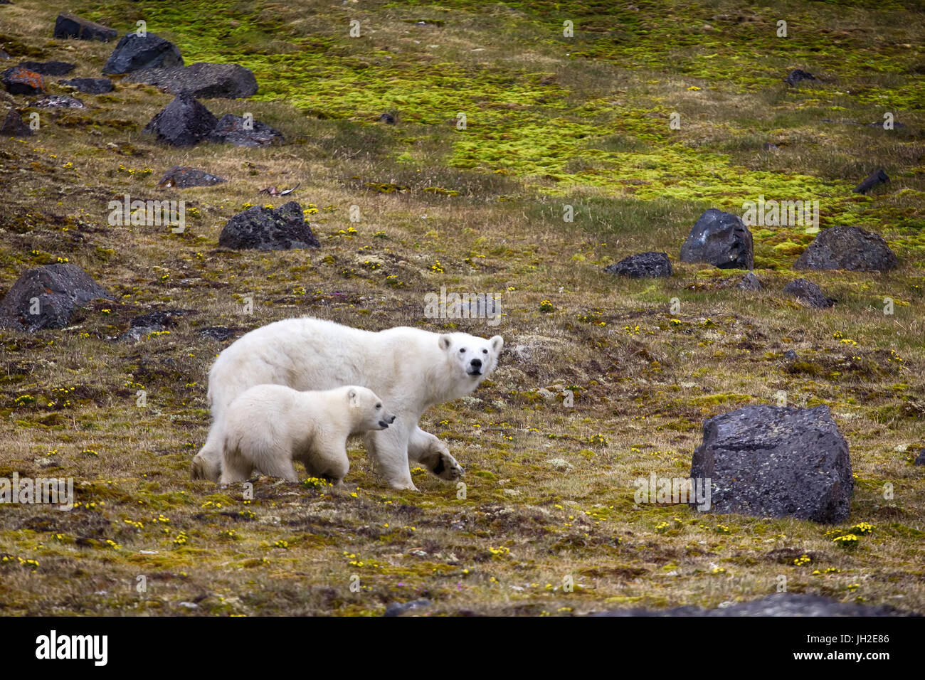 Joseph flees hi-res stock photography and images - Alamy