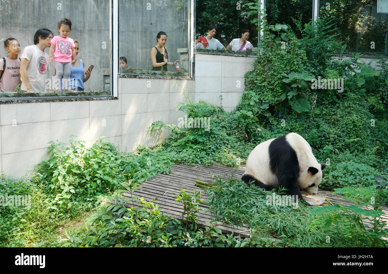 Fuzhou, China's Fujian Province. 12th July, 2017. A panda enjoys fruit ...