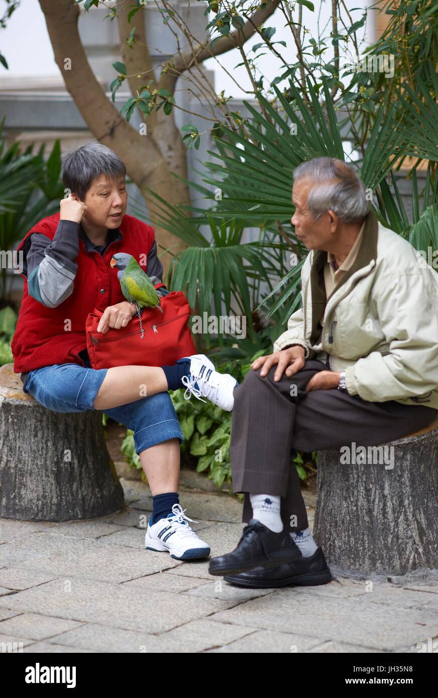 Woman with a parrot perched on her leg sitting talking to a man in the ...