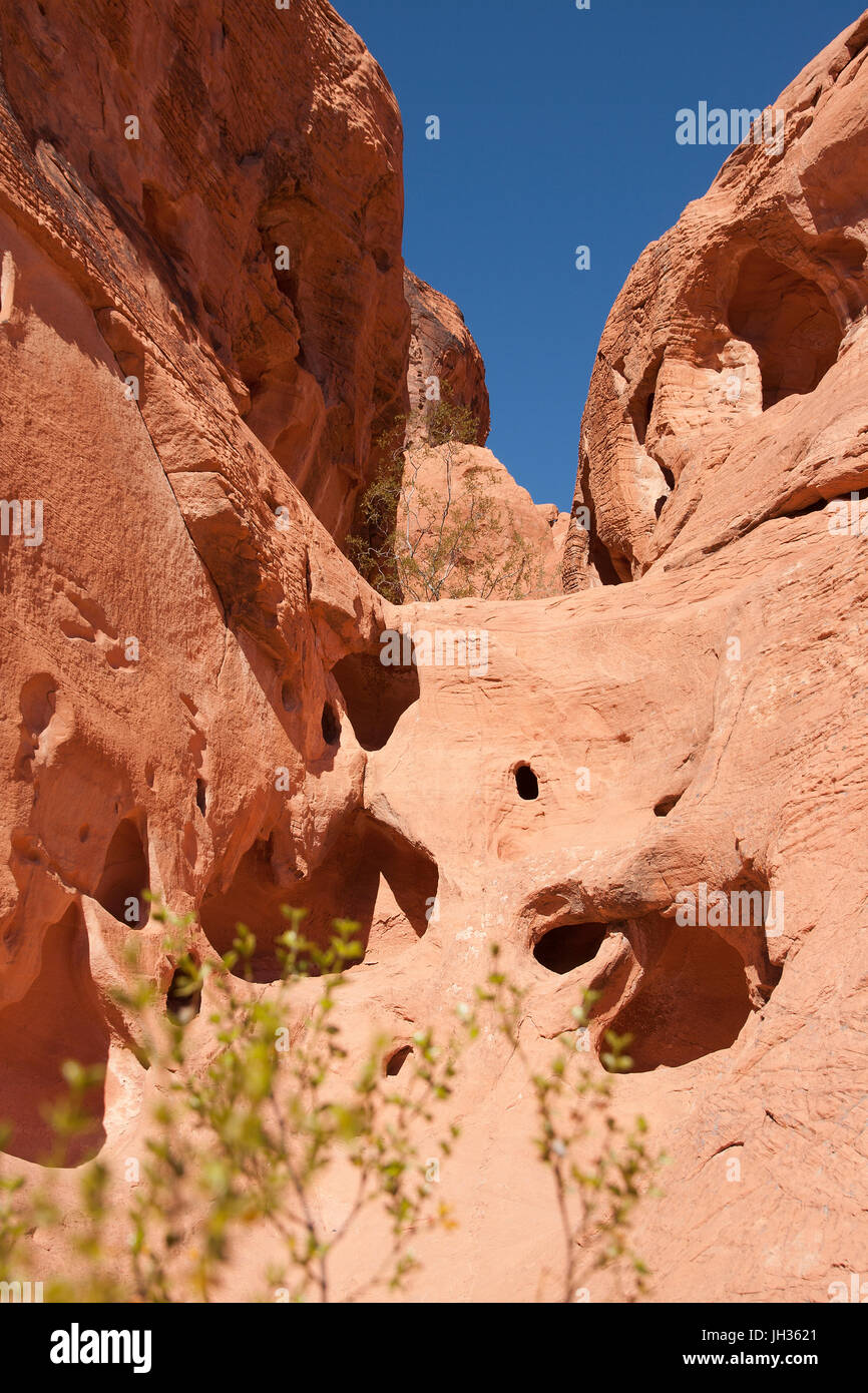 Beautiful red rocks in the desert of Valley of Fire, Nevada, USA Stock ...